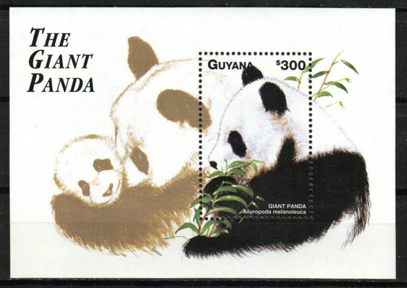 Giant Panda Bear - Mesa Stamps