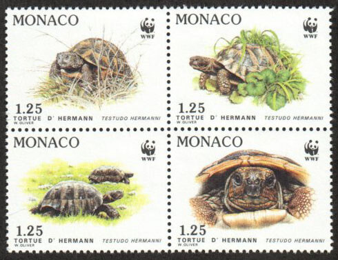 Mesa Stamps - Tortoises