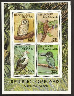 Birds of Gabon