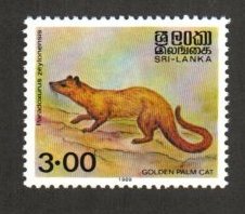Mesa Stamps - Golden Palm Cat