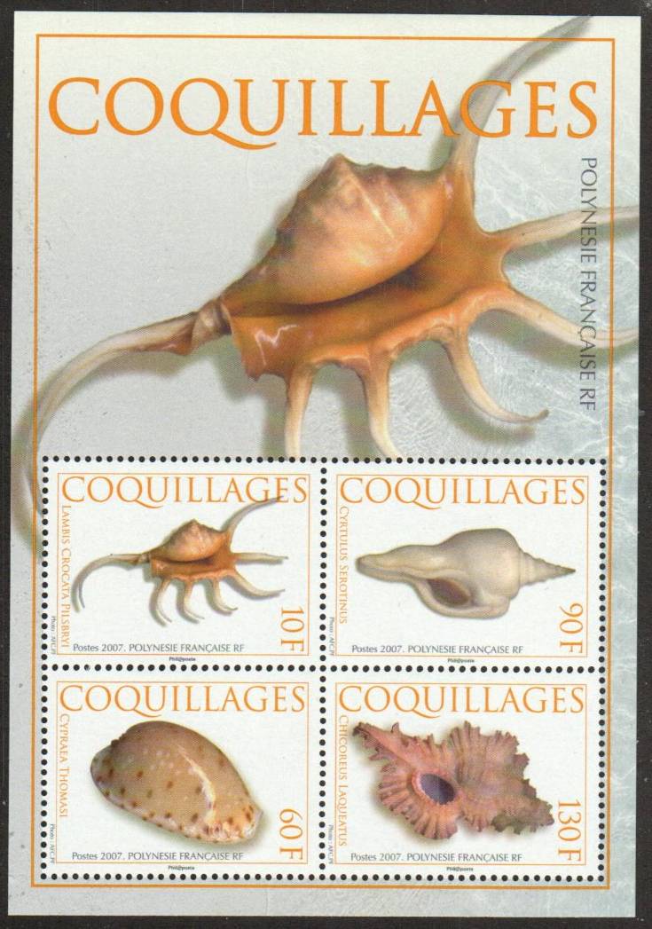 Collectible Shell Stamps - Mesa Stamps