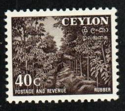 Rubber trees