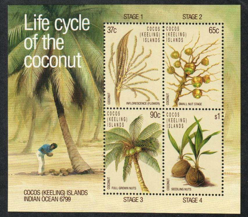 Mesa Stamps - Life Cycle of the coconut