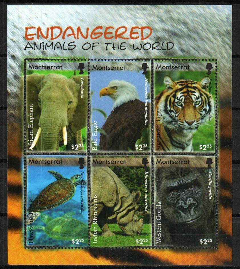 Endangered animals