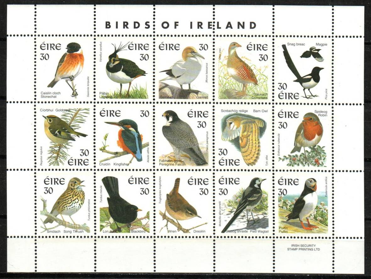 Birds of Ireland
