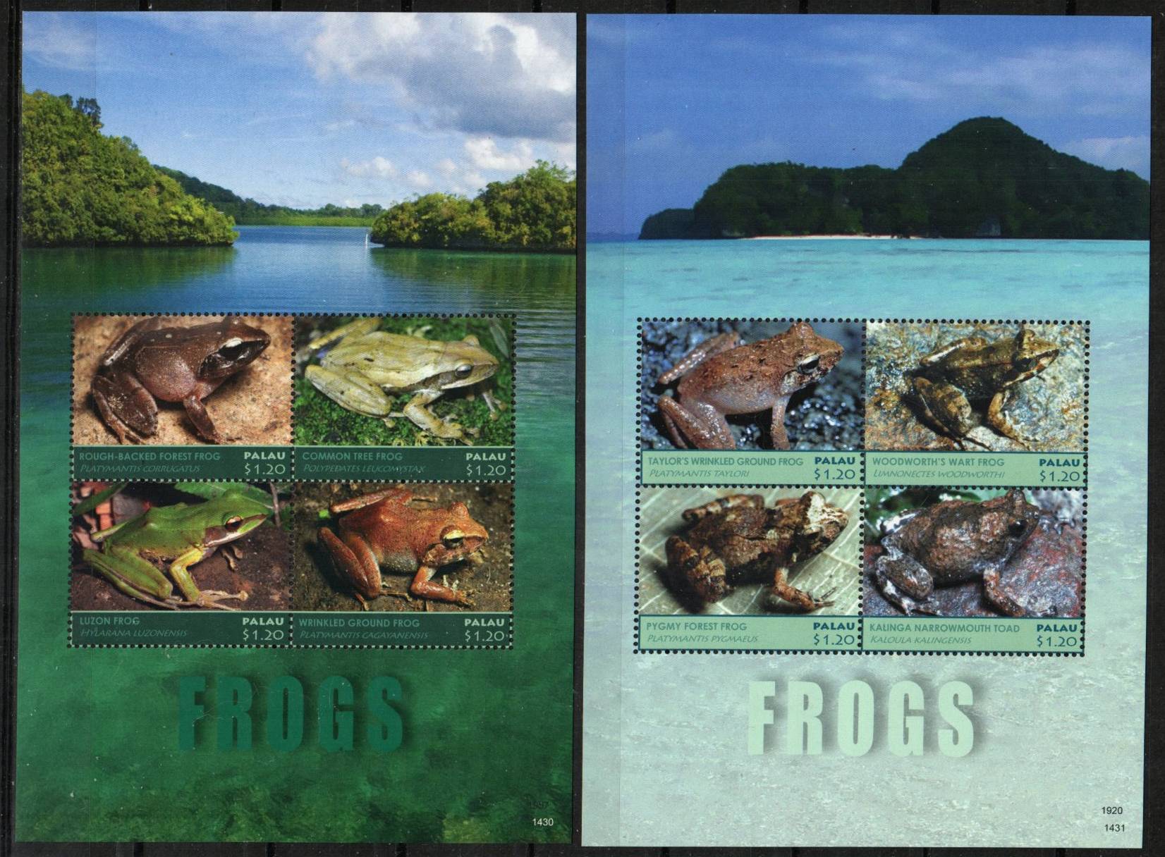 Frogs