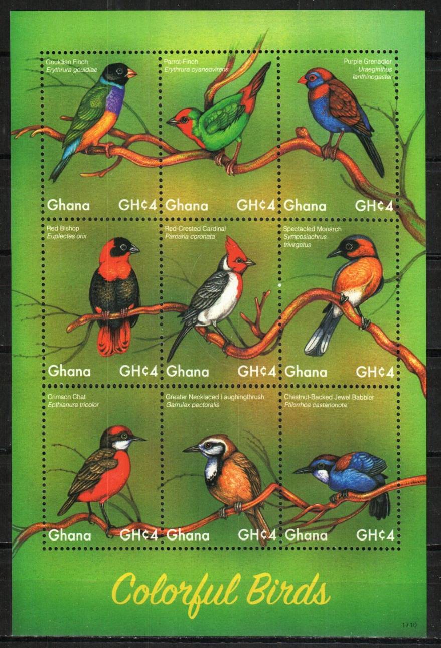 Colorful birds